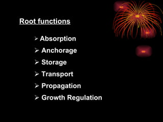Roots, Root System, Root Structure, Root Cap & Root Development | PPT