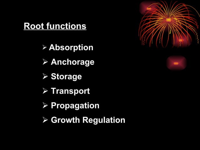 Roots, Root System, Root Structure, Root Cap & Root Development | PPT