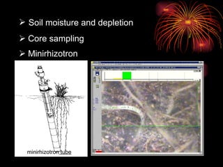 Roots, Root System, Root Structure, Root Cap & Root Development | PPT