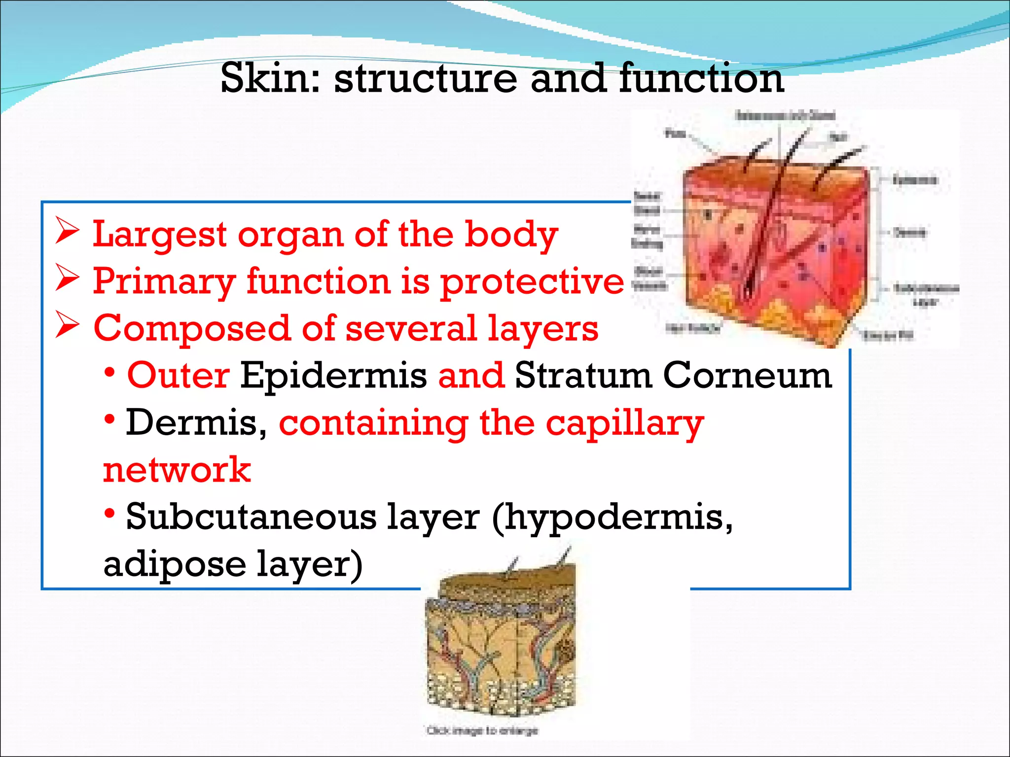 Presentation1 | PPT