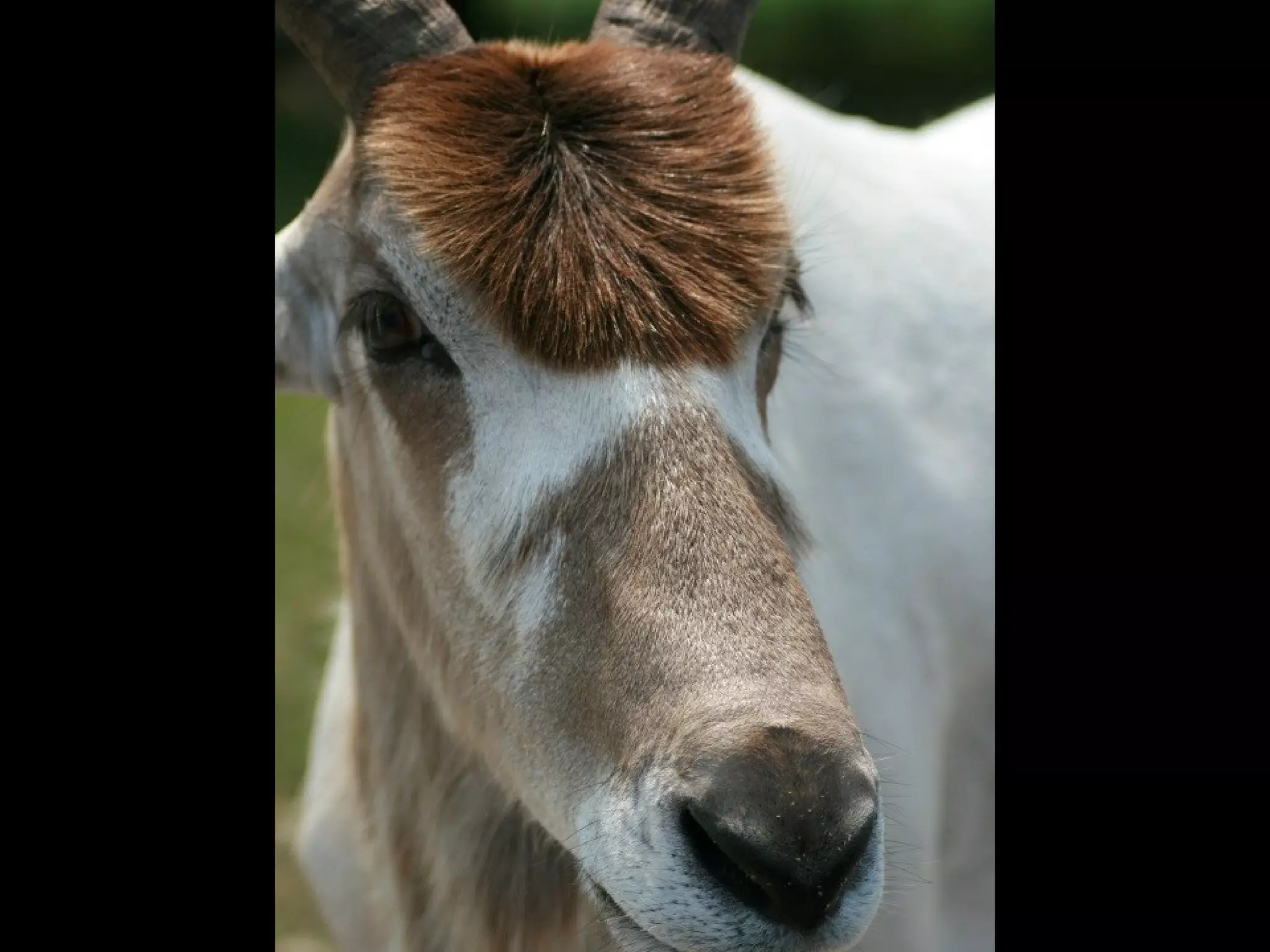 The View From Behind The Camera | PPT