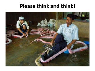 save animals | PPTX