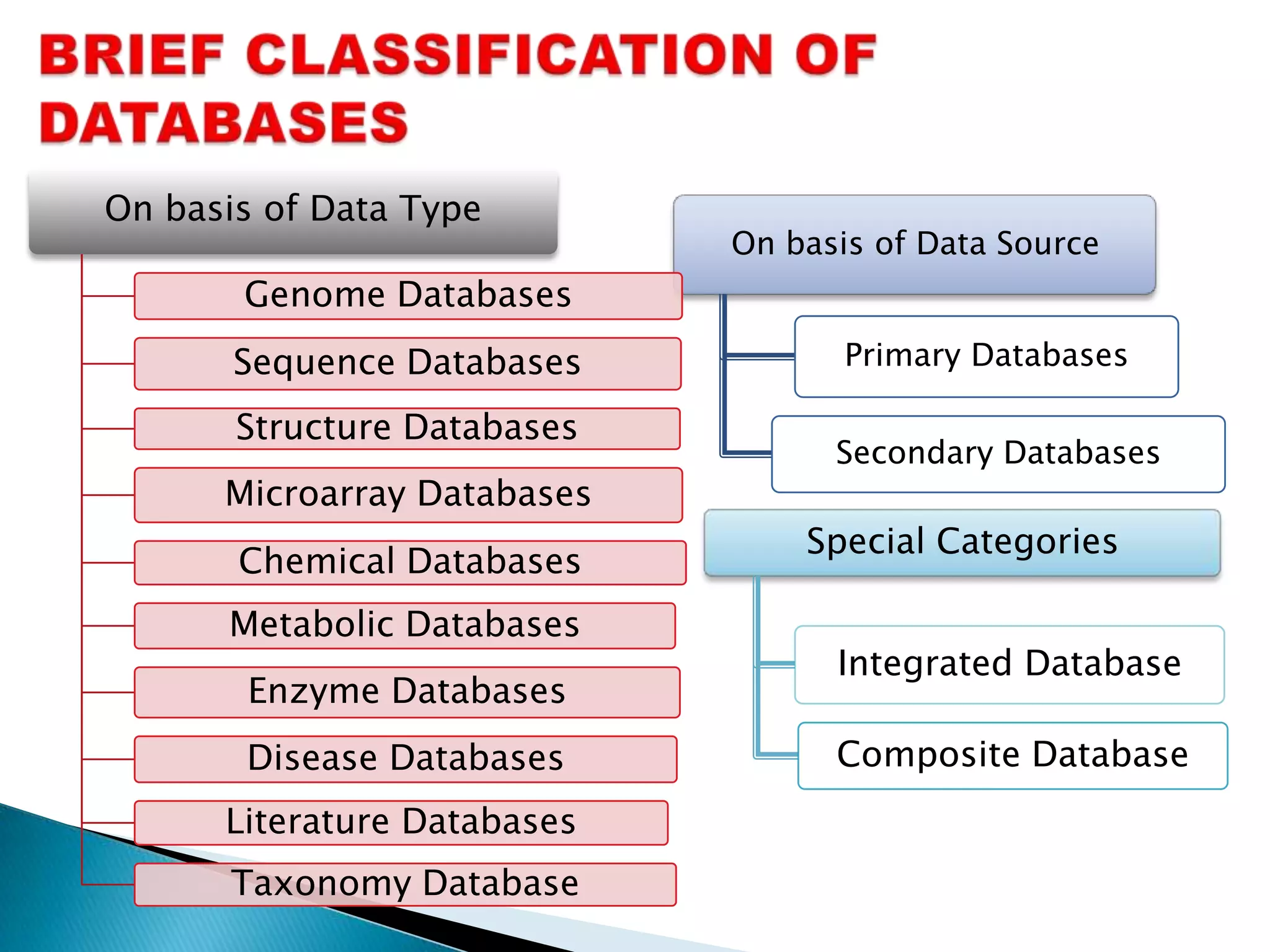 Blast Bioinformatics Pptx Databases Computer Software And