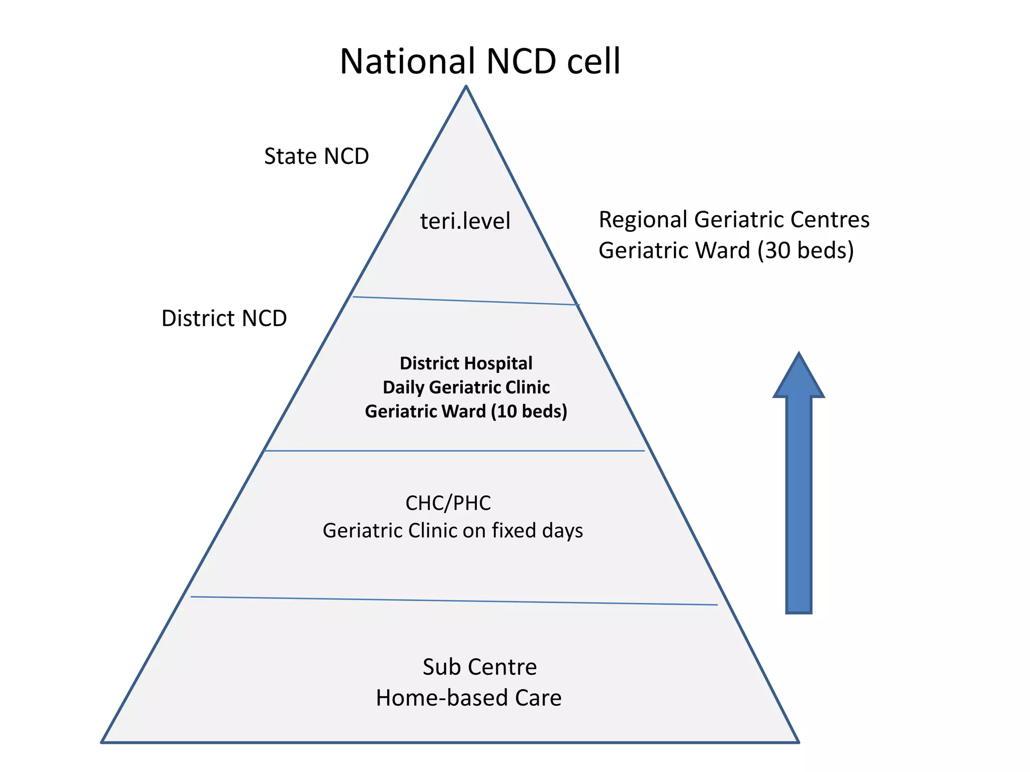 community geriatrics | PPTX