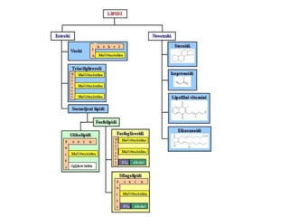 Presentation1 | PPTX