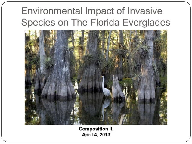 Environmental Impact of Invasive Species on The Florida Everglades | PPT