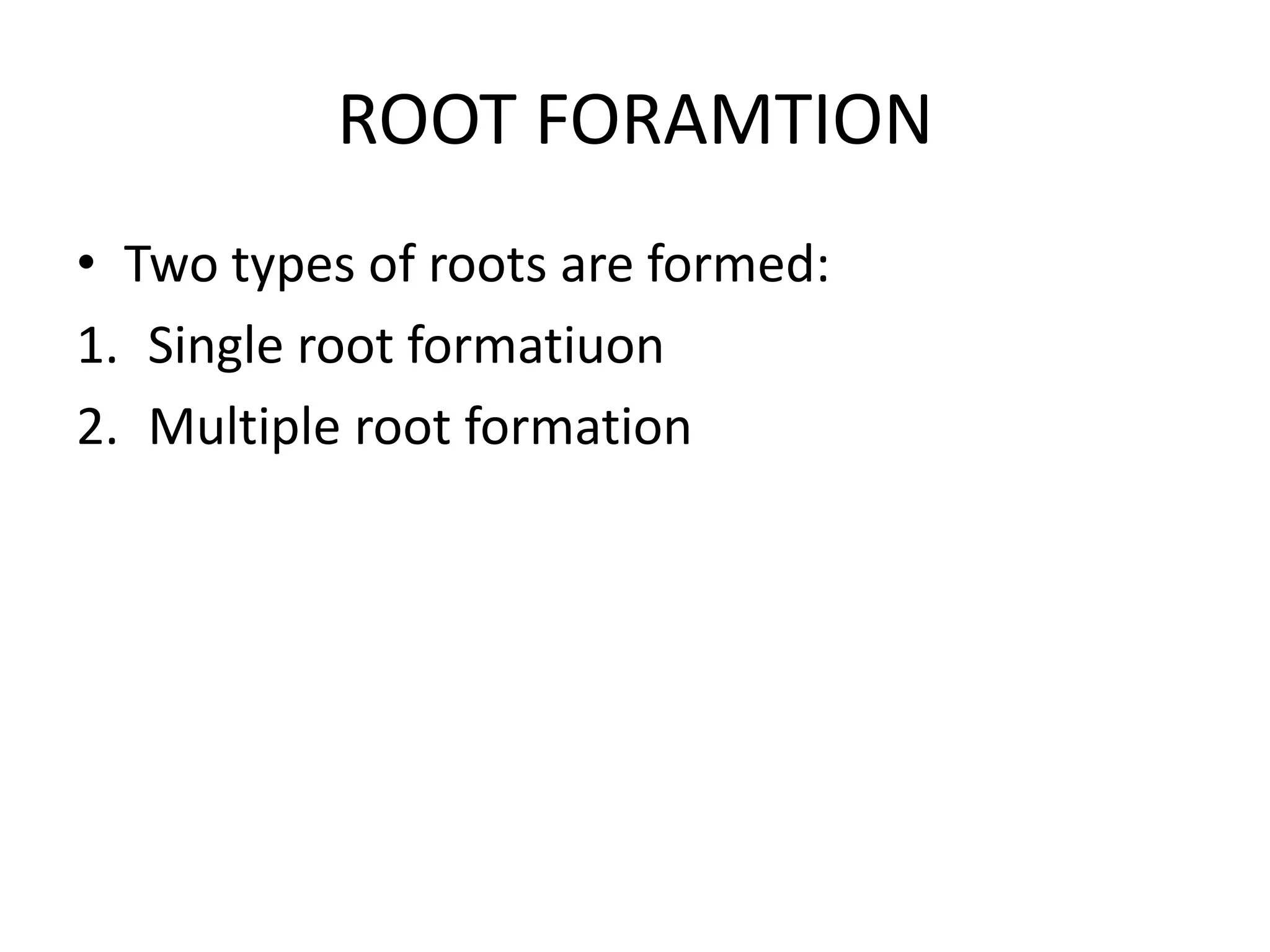 Formation of Permenant tooth, root and supporting tissues | PPTX