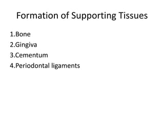 Formation of Permenant tooth, root and supporting tissues | PPTX