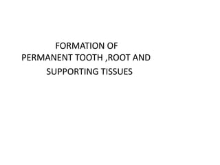 Formation of Permenant tooth, root and supporting tissues | PPTX