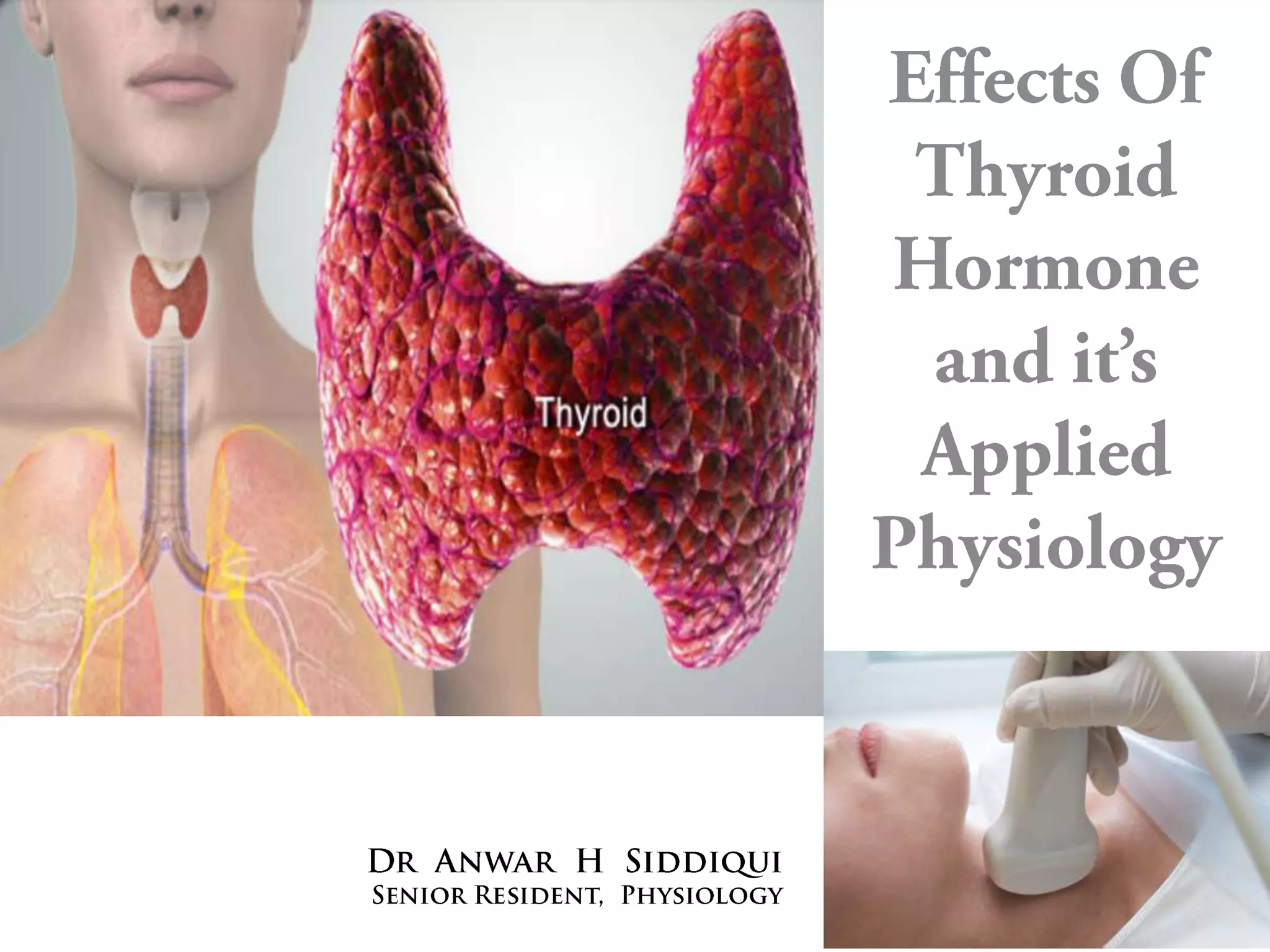 Thyroid hormone effect and mechanism of action | PPTX