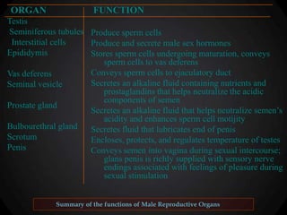 Presentation on physiology of sexual functions | PPTX