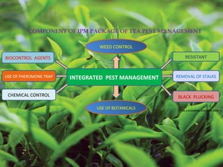 Presentation1 | PPT