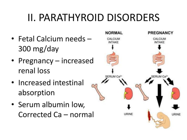 Endocrine disorders in Pregnancy | PPTX