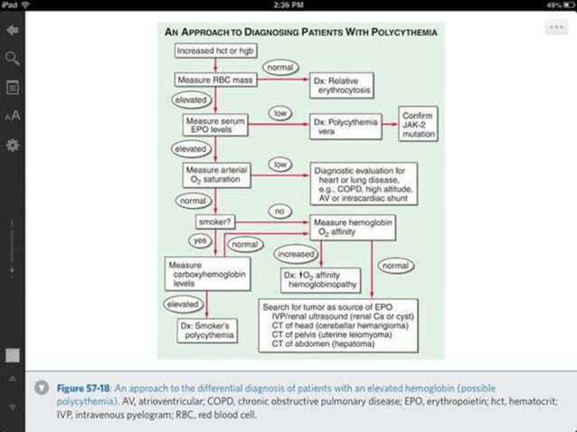 Polycythemia Rubra Vera | PPTX | Blood Disorders | Diseases and Conditions