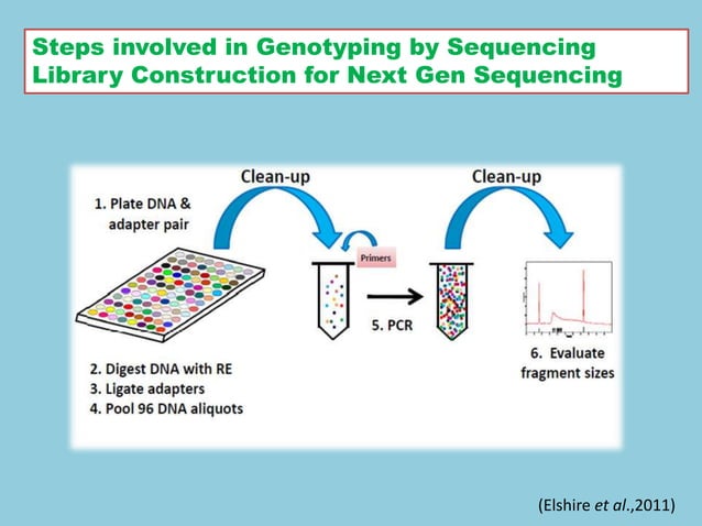 Genotyping by Sequencing | PPTX