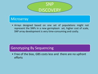 Genotyping by Sequencing | PPTX