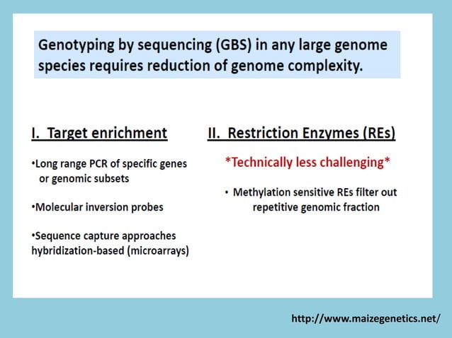 Genotyping by Sequencing | PPTX