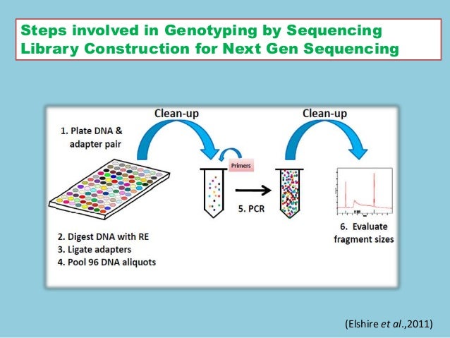 Genotyping by Sequencing