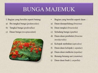 Presentation1 | PPTX