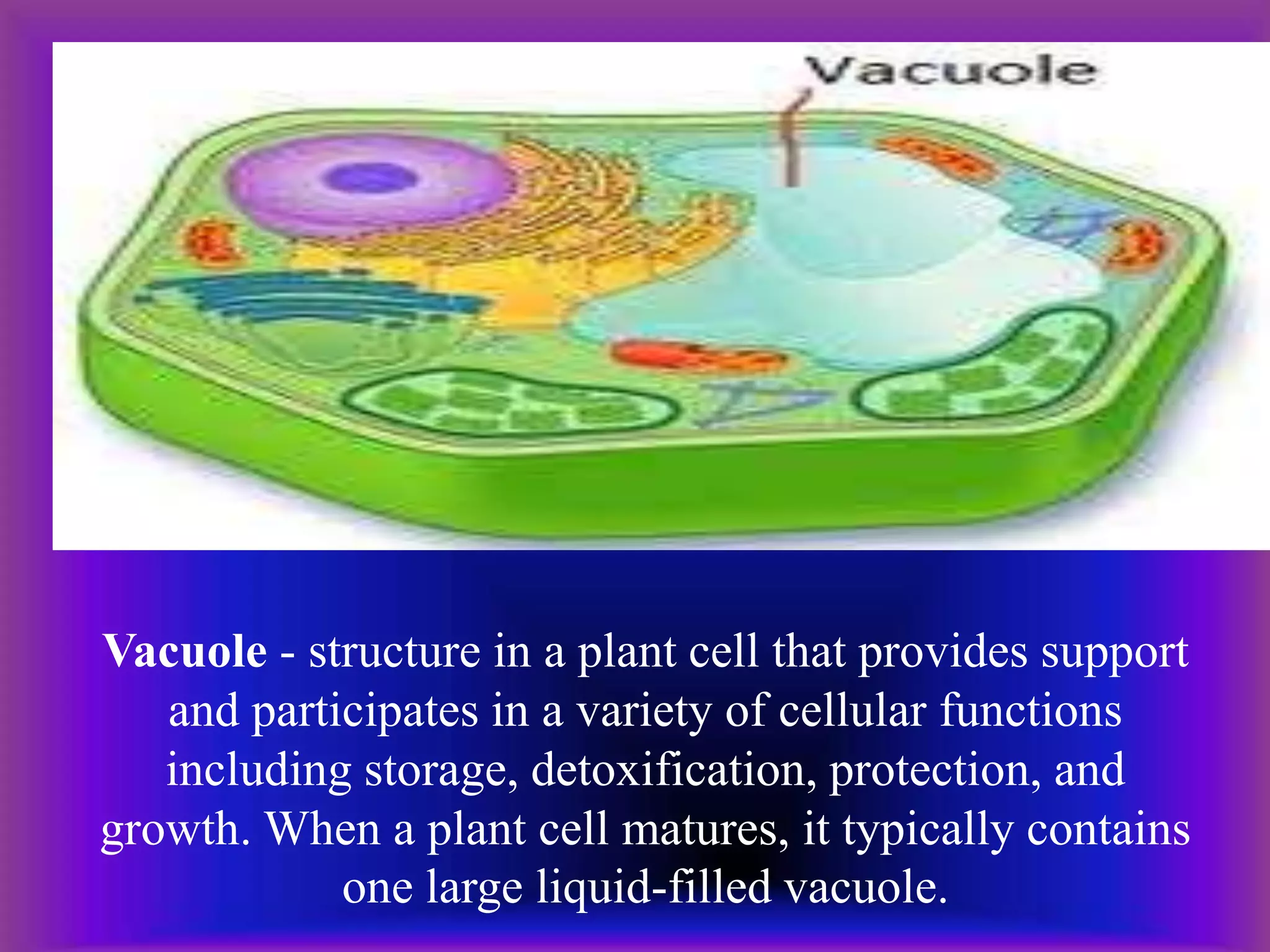 plant cells | PPTX