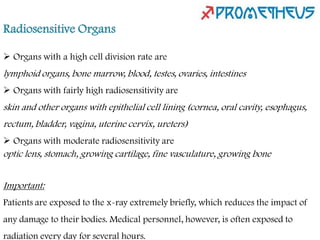 Radiation Protection | PDF