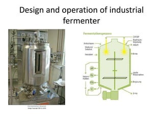 Fermentation technology | PPT | Free Download