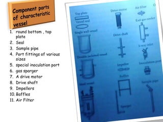 Fermentation technology | PPTX
