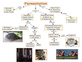 Fermentation technology | PPT | Free Download
