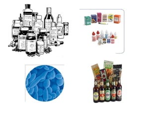 Fermentation technology | PPT