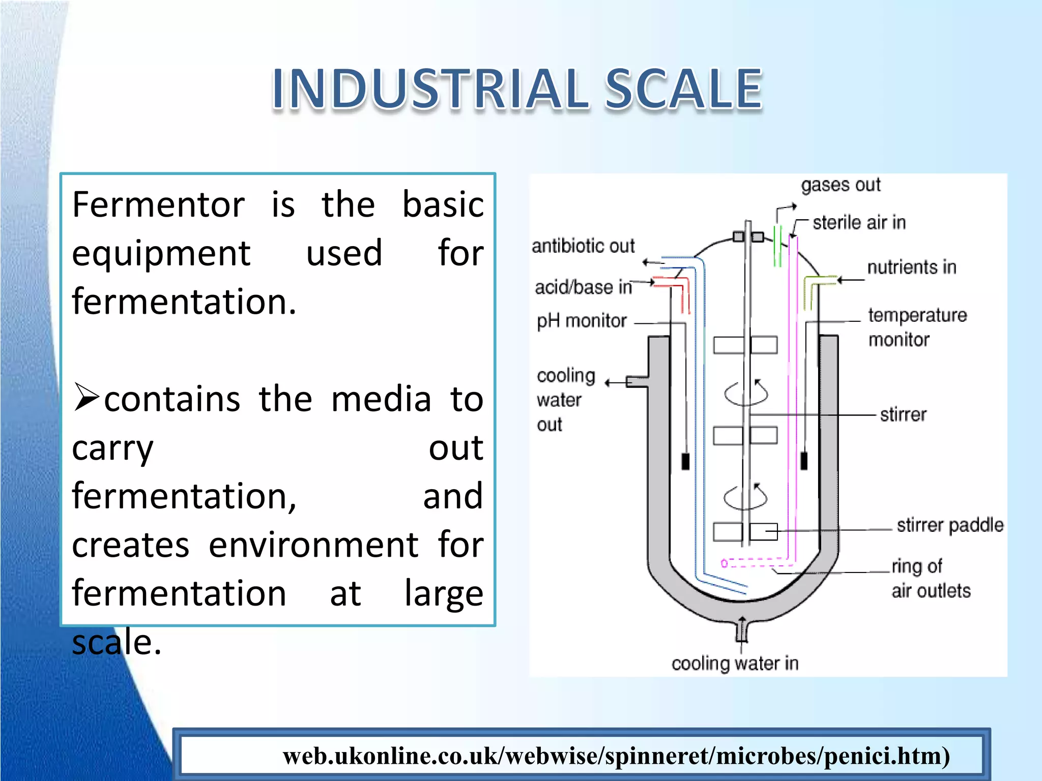 Fermentation technology | PPTX