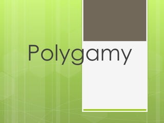 polygamy | PPTX