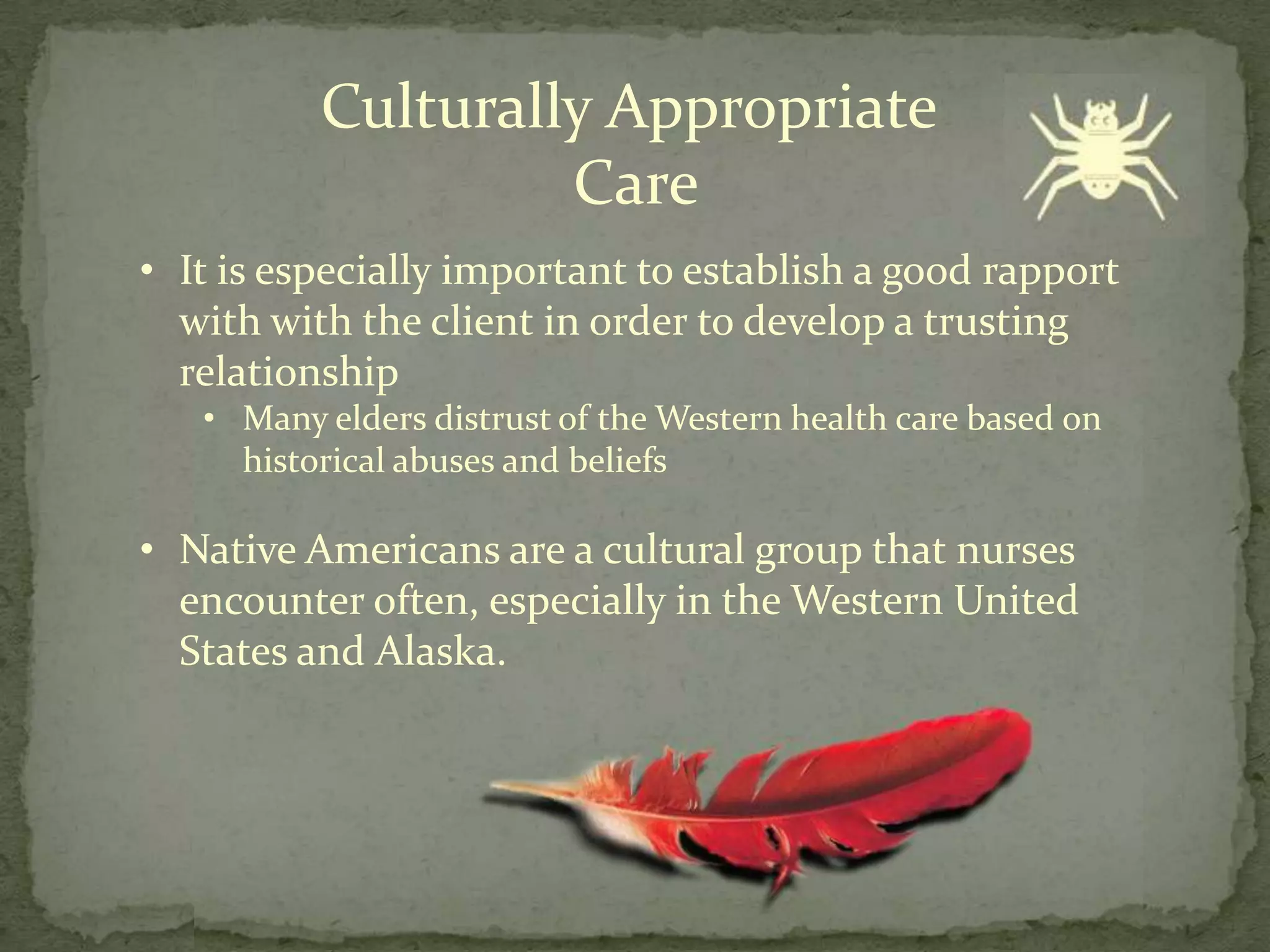 Native American Family Nursing Care Plan | PPTX