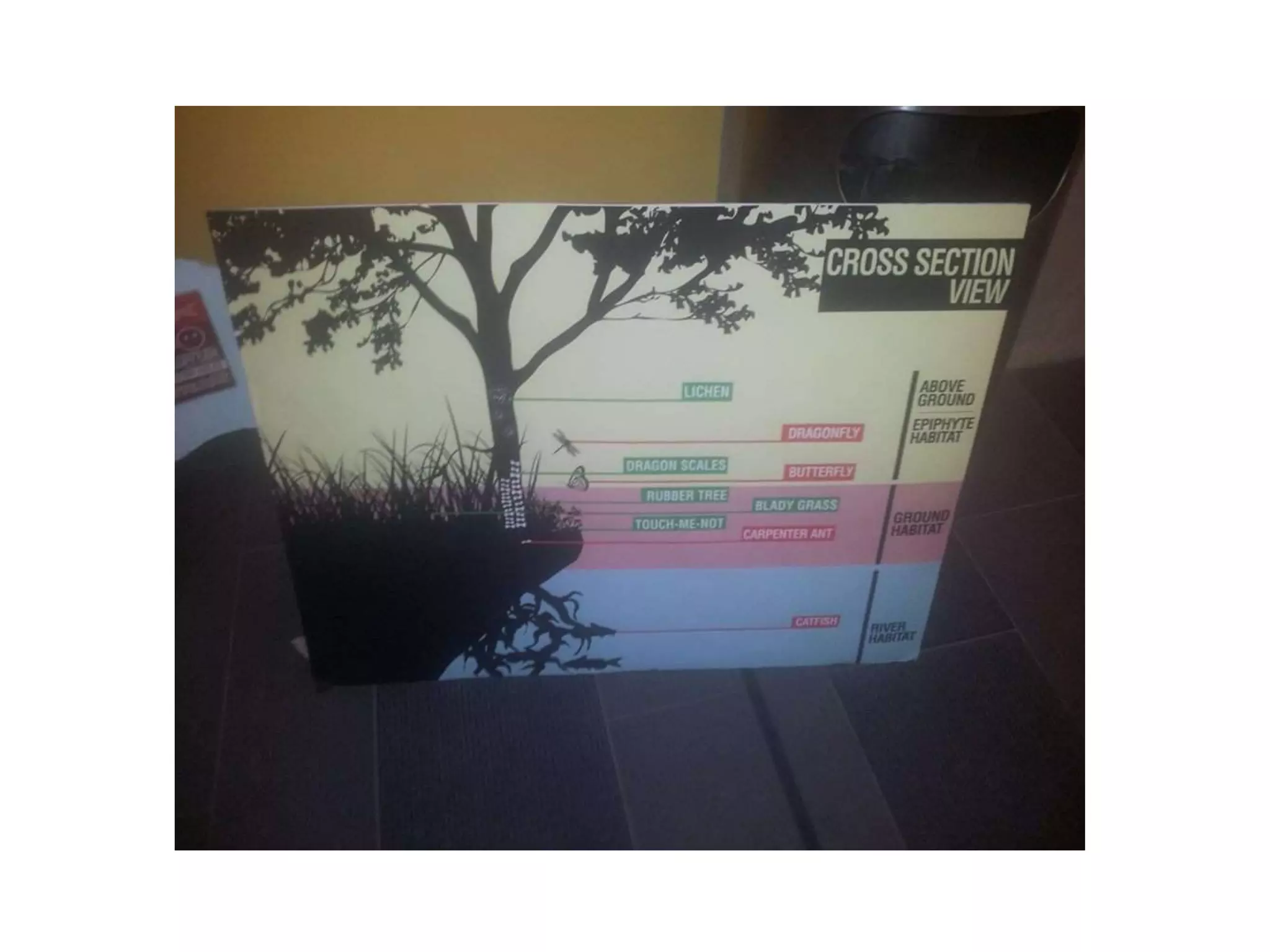 ENBE INFOGRAPHIC POSTER | PPTX