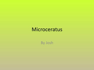 Microceratus | PPTX