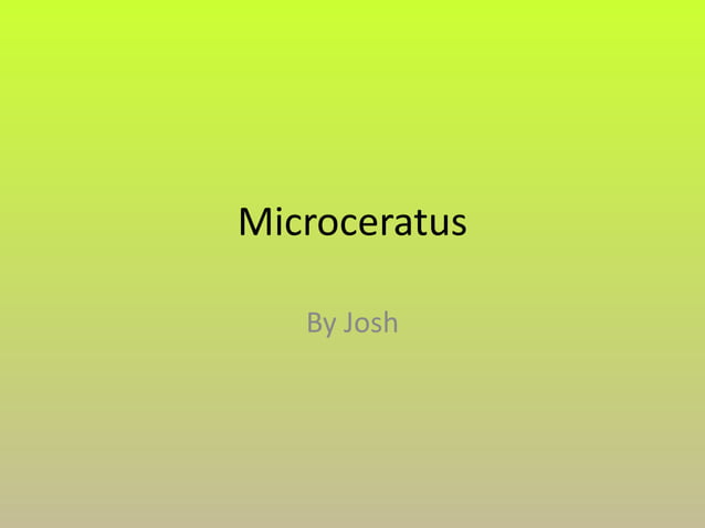 Microceratus | PPTX