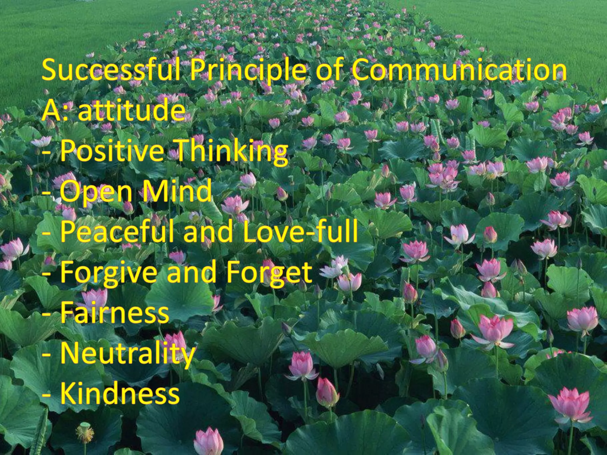 SUCCESSFUL PRINCIPLE OF COMMUNICATION | PPT