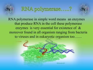 Simple Rna Polymerase Structure