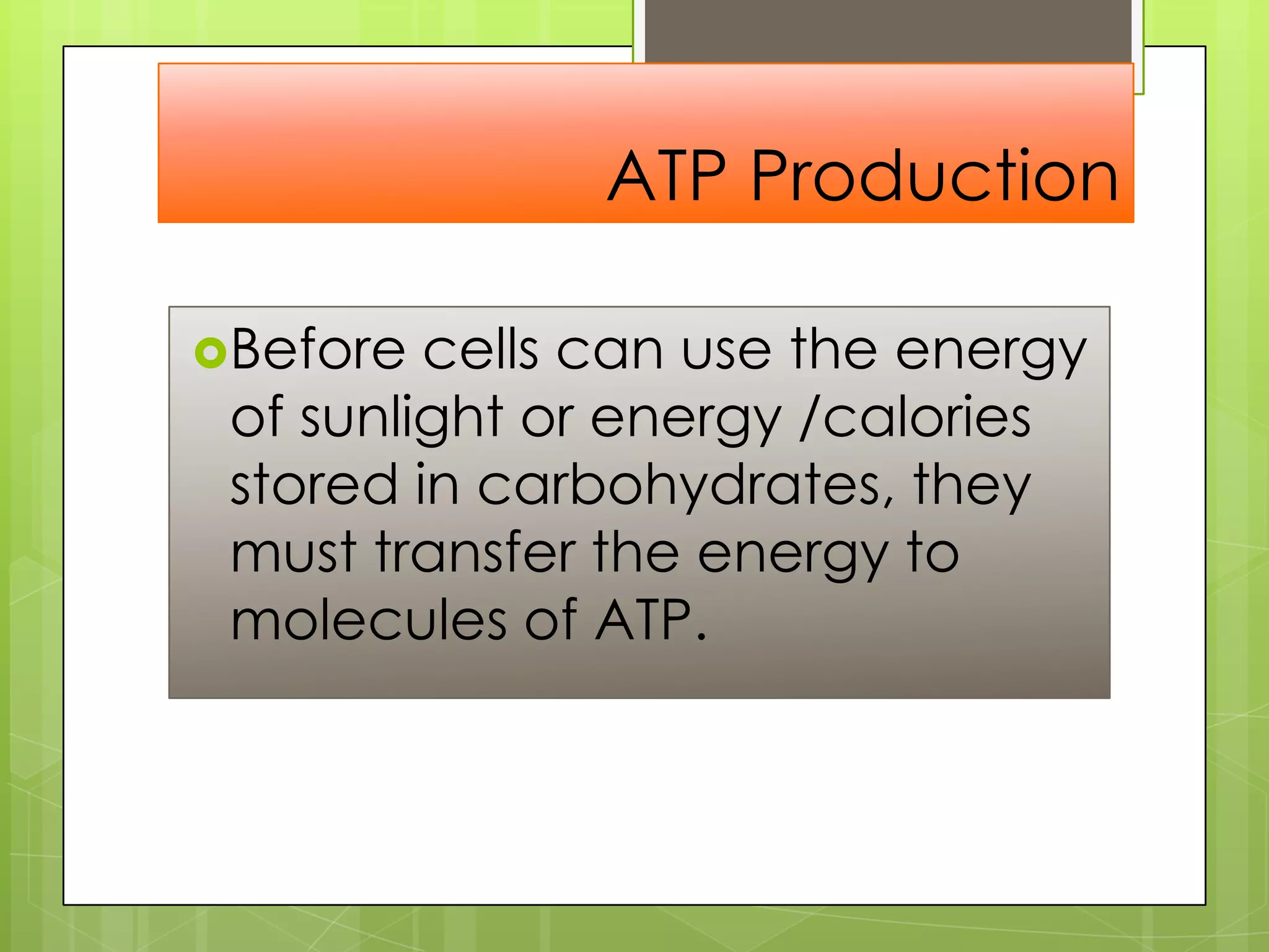 Bioenergetics (biochemistry) | PPTX