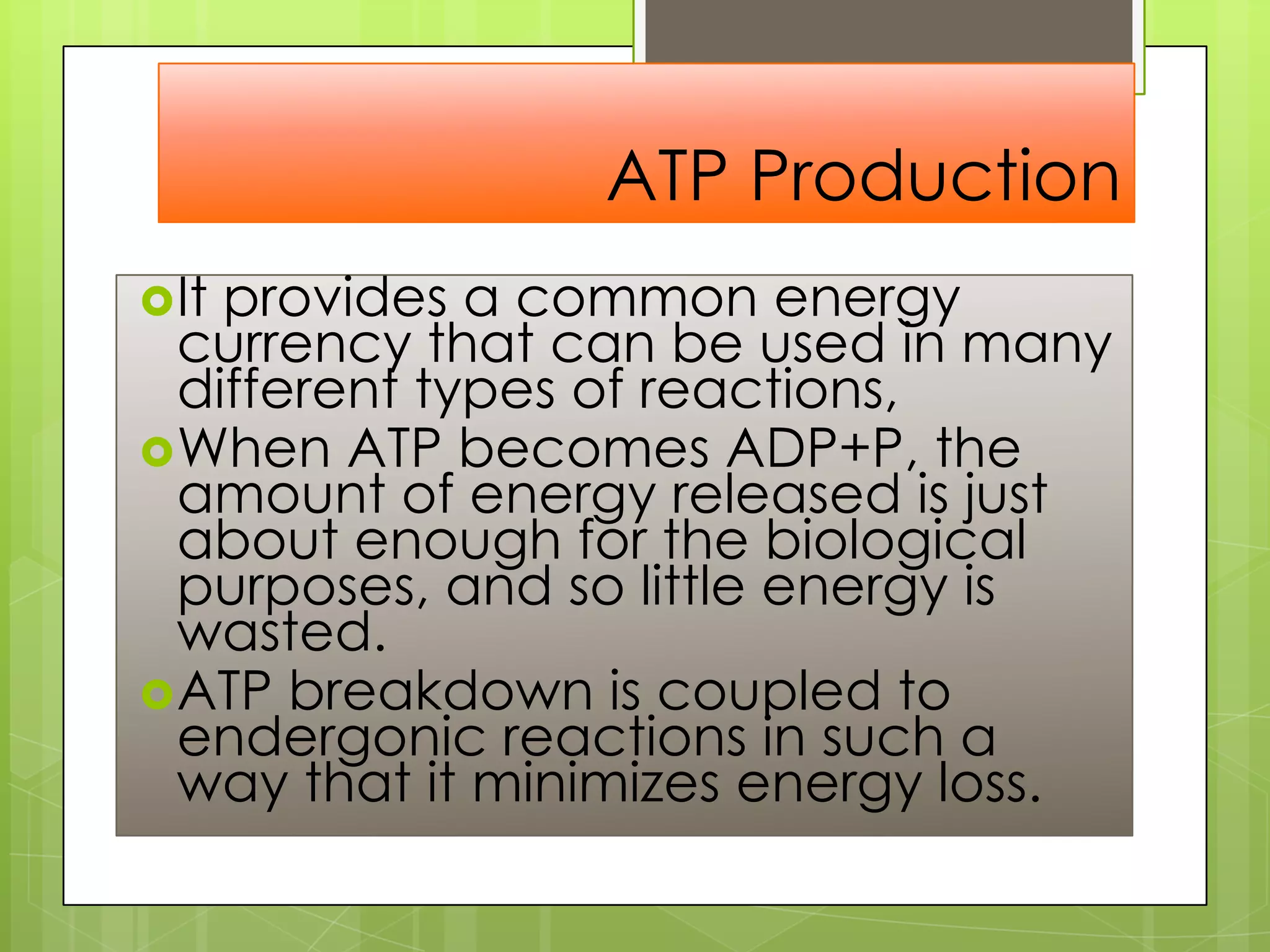 Bioenergetics (biochemistry) | PPTX