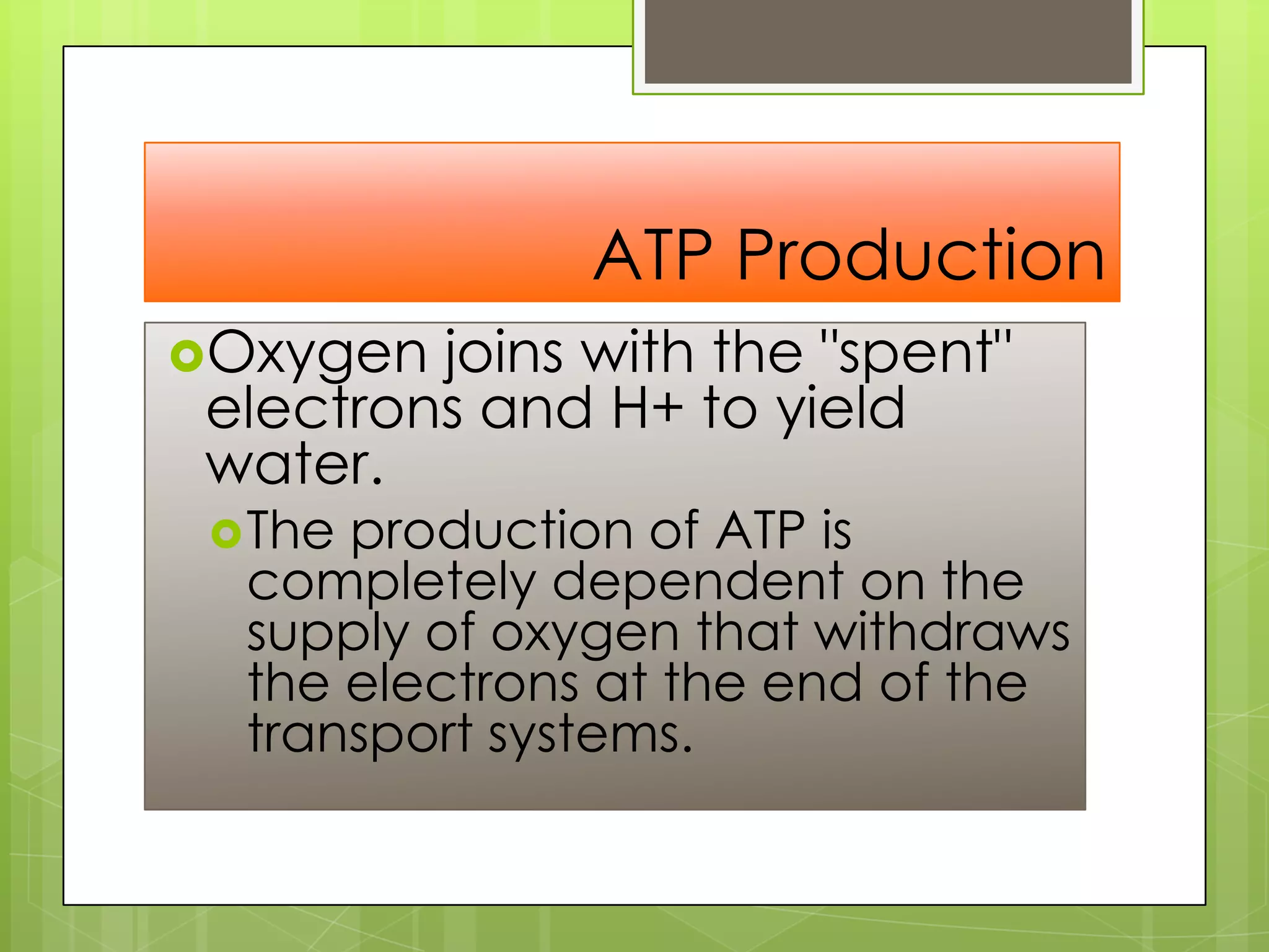 Bioenergetics (biochemistry) | PPTX
