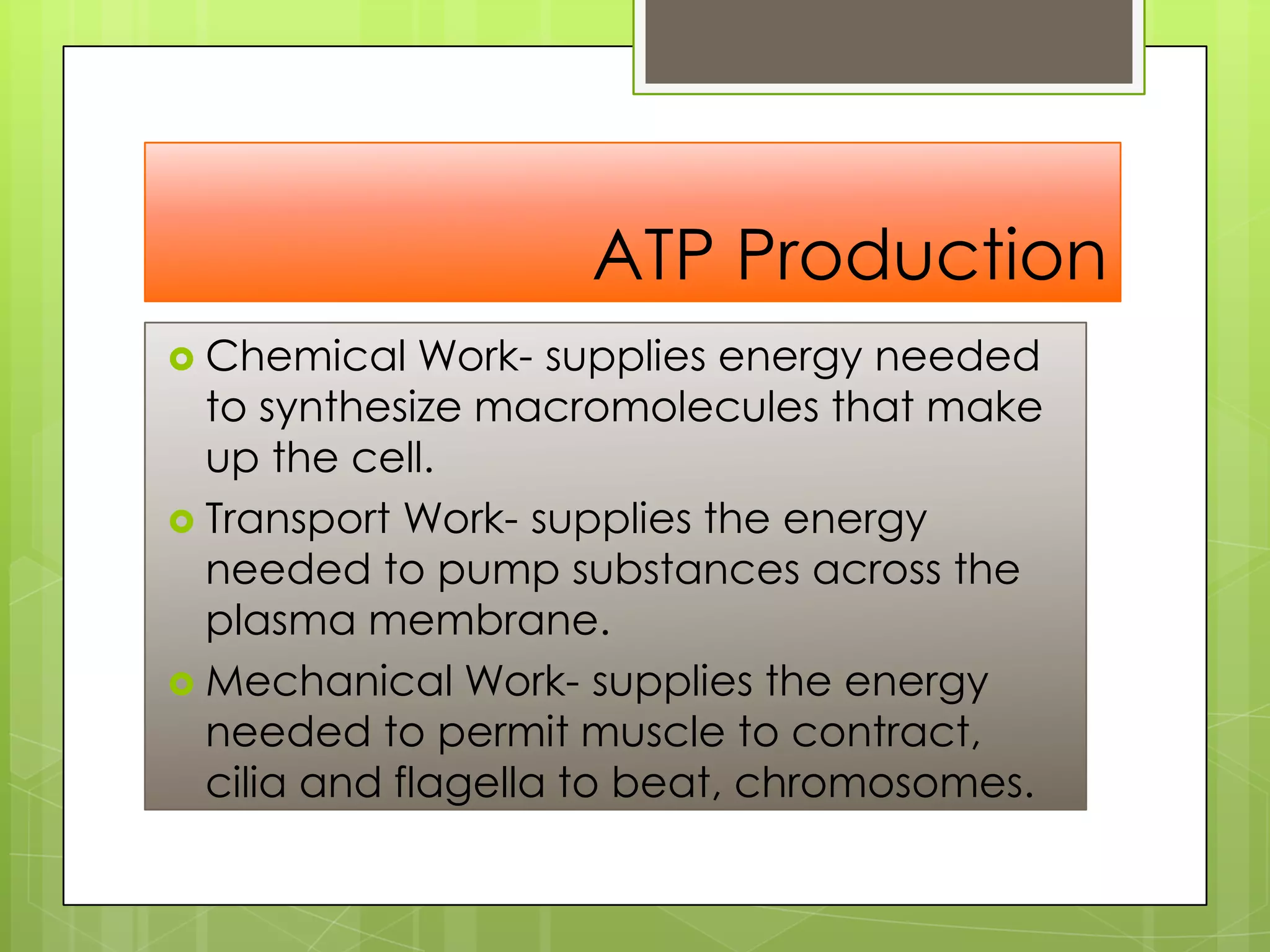 Bioenergetics (biochemistry) | PPTX