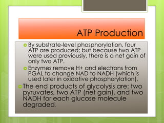 Bioenergetics (biochemistry) | PPTX