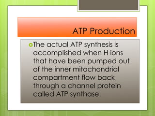 Bioenergetics (biochemistry) | PPTX