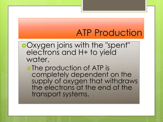 Bioenergetics (biochemistry) | PPTX
