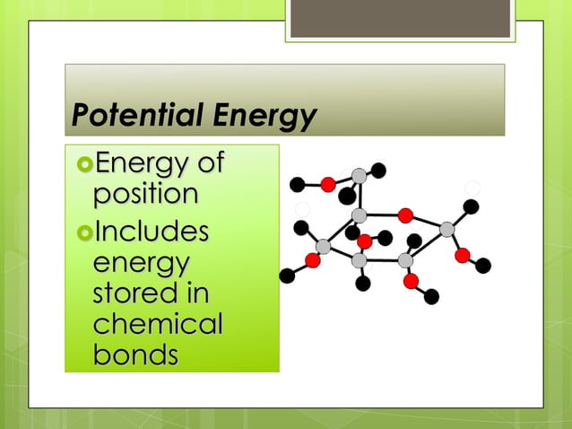 Bioenergetics (biochemistry) | PPTX | Biological Sciences | Science