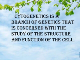 cytogenetics | PPTX