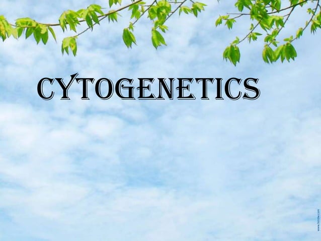 cytogenetics | PPTX