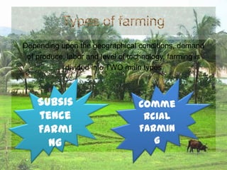 AGRICULTURE | PPTX | Agriculture | Industries