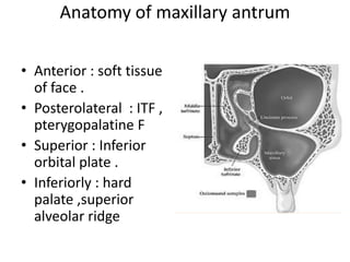 CARCINOMA MAXILLARY SINUS MANAGEMENT RADIATION ONCOLOGY | PPTX