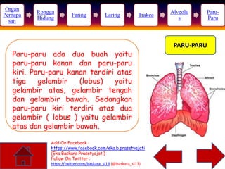 sistem pernapasan pada manusia | PPT